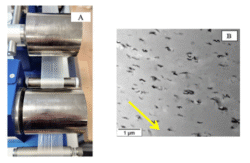 Understanding Cast and Blown Film Technologies in Polymeric Film ...